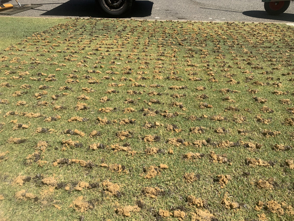 Lawn Core Aeration - Verti Mowing, Dethatching, Aeration